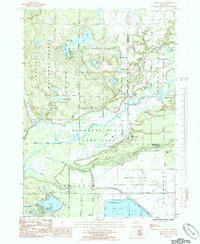 1985 Map of Wolf Lake, MI — High-Res | Pastmaps